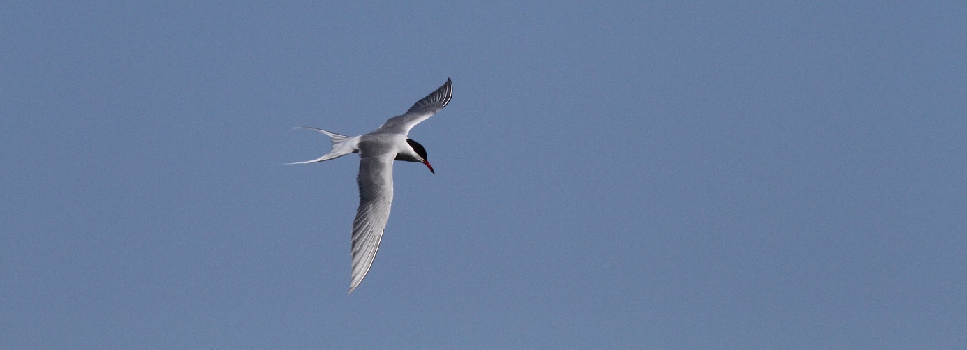 tiira - Jetmasters Oy Metallituotteiden valmistuspalvelut